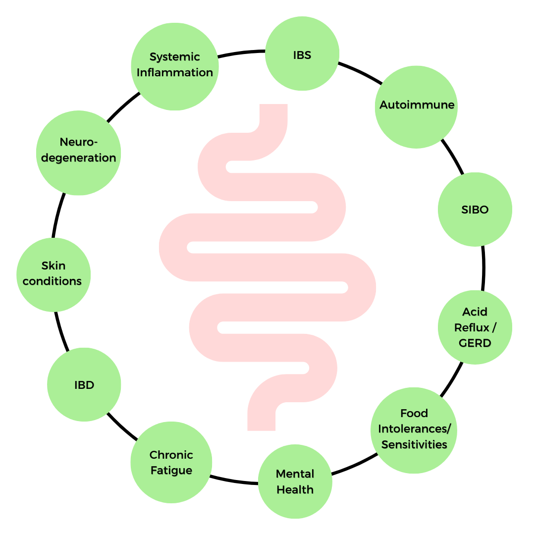 IBS Treatment | Gut Health Expert | Digestive Health
